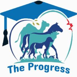The Progress Academy